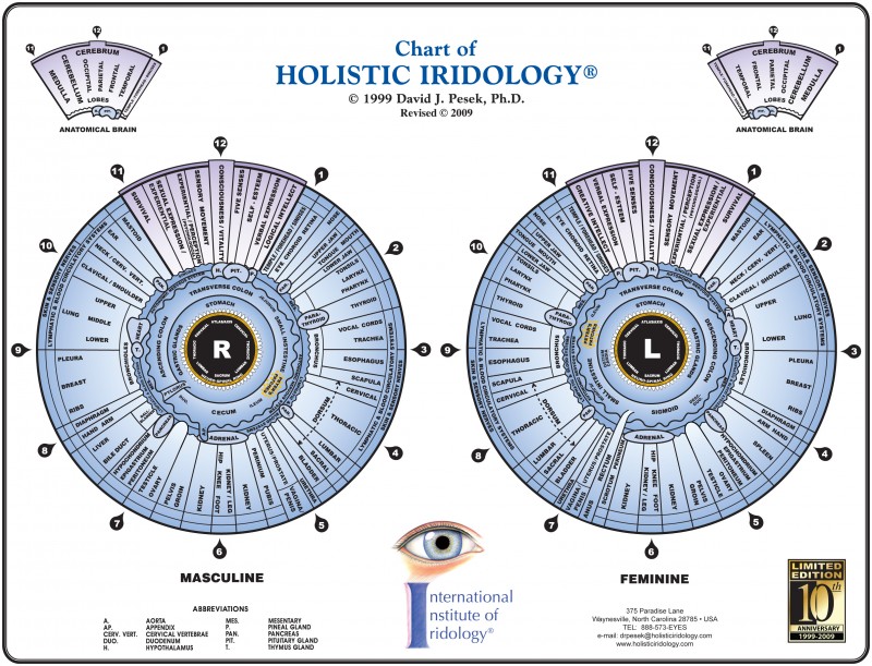 Iris Chart